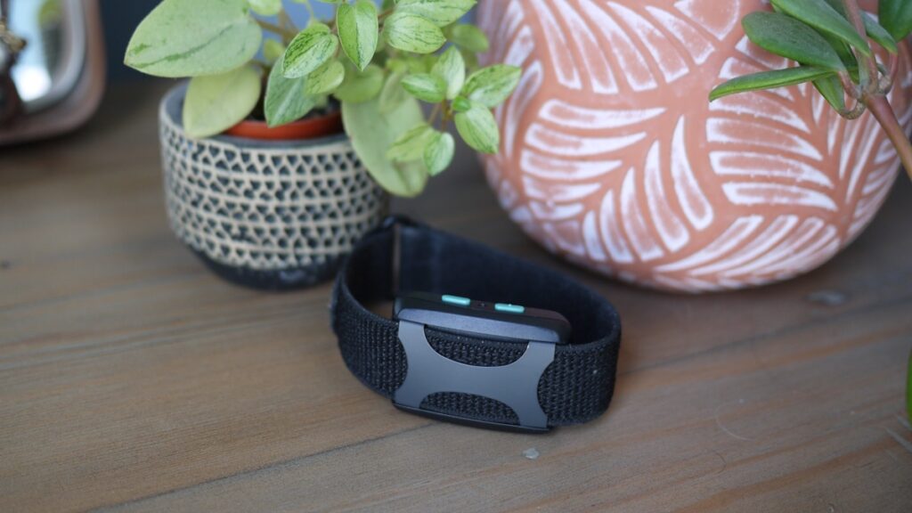 Apollo Neuro review - Wareable